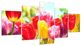 Obraz tulipánů  (150x80 cm)