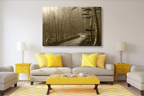 Obraz sépiová cestička do lesa Varianta: 120x80
