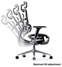 Ergonomická židle DIABLO V-MASTER: černá Diablochairs