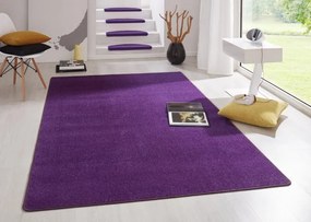 Hanse Home Collection koberce Fialový kusový koberec Fancy 103005 Lila ROZMĚR: 100x150