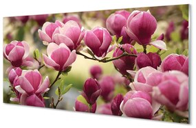 Akrylové obrazy květy 100x50cm
