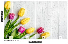 Fototapeta žluté tulipány 104x70