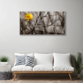Obraz na skle Větev Květ 140x70 cm