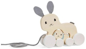 Bigjigs Toys Tahací zajíček s mládětem