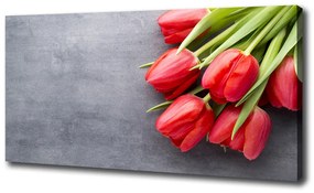 Wallmuralia Foto obraz na plátně Červené tulipány 100x50