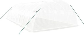 Skleník s ocelovým rámem bílý 32 m² 8 x 4 x 2 m 3188074