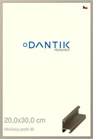 DANTIK rámeček 20x30 | ALU profil 6030 champagne (Sklo Čiré)
