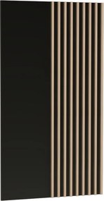 Nástěnný panel Moderno C10 80 cm dub Artisan/černý