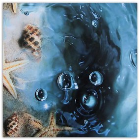 Gario Obraz na plátně Mušle v modré vodě Rozměry: 30 x 30 cm