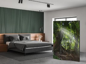Paraván strom v deštném pralese Rozměr: 135 x 180 cm