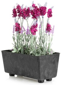 PLASTOVÝ KVĚTINÁČ SALVIA 28,5X17 CM IMITACE BETONU ČERNÁ