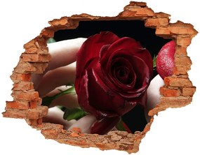 Wallmuralia Fotoobraz díra na stěnu Žena s růží 90x70 cm