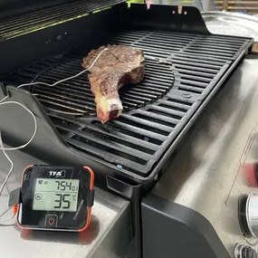 TFA 14.1514.10 BBQ VIEW / Bezdrátový vpichový teploměr / 2 sondy / dos