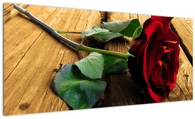 Ležící růže - obraz (100x40cm)