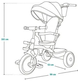 Lionelo - Dětská tříkolka BERRY Grey Stone