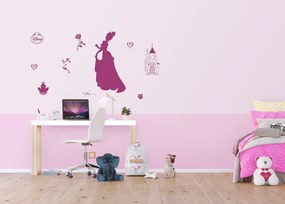 Dětská samolepka na zeď Disney Princezna a žabák | 65 x 85 cm | DDK873