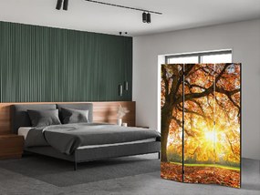 Paraván strom v západu slunce Rozměr: 135 x 180 cm