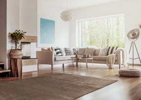 Sintelon, Kusový koberec Dolce Vita 01/BBB, 80x150, hnědá, ložnice