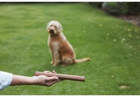 Aportovací hračka pro psy MiaCara Ramo hnědá 26 x 2,5 x 2,5 cm