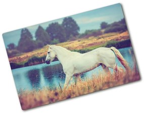 Wallmuralia Kuchyňská deska skleněná Bílý kůň jezero 80x52 cm