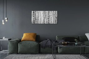 Obrazy na plátně Černá a bílá bříza 125x50 cm