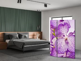Paraván fialová orchidej Rozměr: 135 x 180 cm