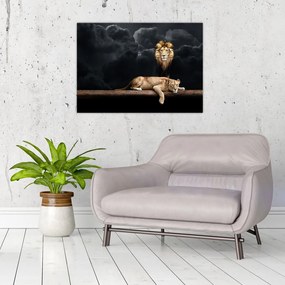 Skleněný obraz - Lev a lvice v oblacích (70x50 cm)