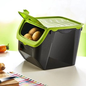 Orion Skladovací černý box na cibuli a brambory,zelené víko (12l)