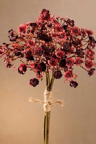 Paramit DRY GYPSO Aranžovací květina červená 30 cm