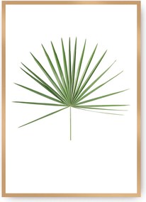 Plakát Tropical Leaf Green