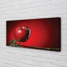 Obrazy na plátně jablko ve vodě 100x50 cm
