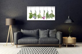Obraz na skle Sušené Byliny Listy Květiny 125x50 cm