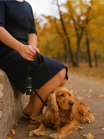 Sinsay - Pouzdro na sáčky na exkrementy s baterkou - černá