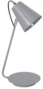 Luminex | Stolní lampa TABLE LAMPS 1xE27/60W/230V | LU8298