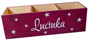 Velký pastelkovník ze dřeva se jménem - fialový