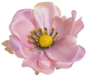 anemon hlavičky (12 ks) - růžová