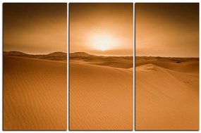 Obraz na plátně - Pouště Sahara 1131B (105x70 cm)