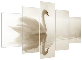 Obraz labutě (150x105 cm)