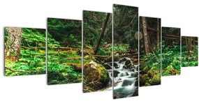 Obraz potoku v lese (210x100 cm)