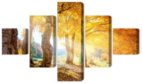 Vícedílný obraz Slunečný Podzimní Les Nedostatek Nedostatek Přírodní plátno 250x150
