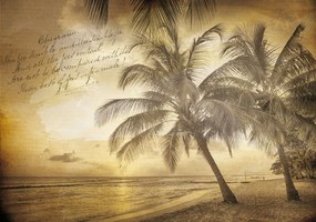 Fototapeta - Pohlednice z tropů (254x184 cm)
