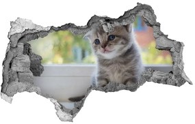 Wallmuralia Díra 3D fototapeta na stěnu Malá kočka u okna 95x73 cm