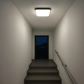 LED Stropní svítidlo NEMO LED/36W/230V 50x50 cm černá