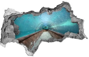 Wallmuralia Fototapeta díra na zeď 3D Tunel akvárium 95x73 cm