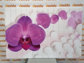 Obraz orchidej na abstraktním pozadí - 120x80 cm