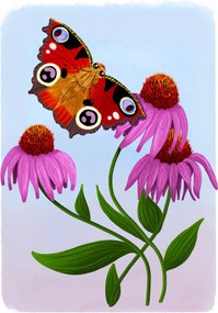 Kristýna Pýchová | Motýlek Rám: Černý, Velikost: 70 x 50 cm