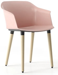 NARBUTAS - Židle POLYTONE-C G5A0063 s dřevěnou podnoží