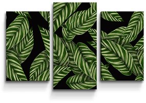 Sablio Obraz - 3-dílný Abstrakce listů - 75x50 cm