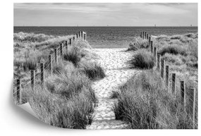 Fototapeta Pojďme Dolů Na Pláž Black &amp;amp; White Samolepící tapety 180x120