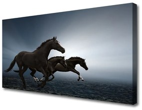 Obraz na plátně Koně Zvířata 125x50 cm
